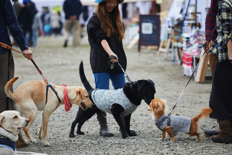 TOKYO DOG SHOW - 東京アウトドアショー2025（TOKYO OUTDOOR SHOW 2025）