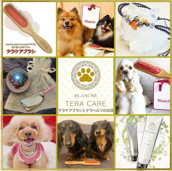 TOKYO DOG SHOW - 東京アウトドアショー2025（TOKYO OUTDOOR SHOW 2025）