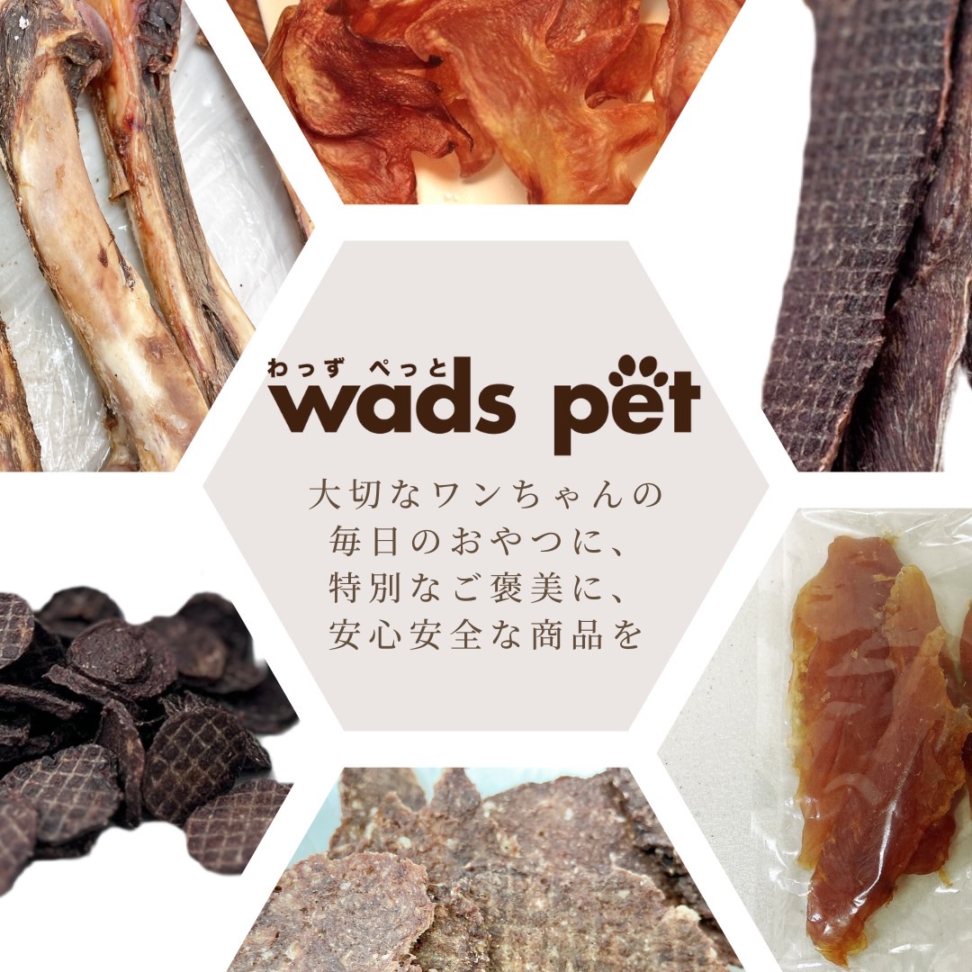 出展ブース（TOKYO DOG SHOW） wads pet（わっずぺっと） - 東京アウトドアショー2025（TOKYO OUTDOOR ...