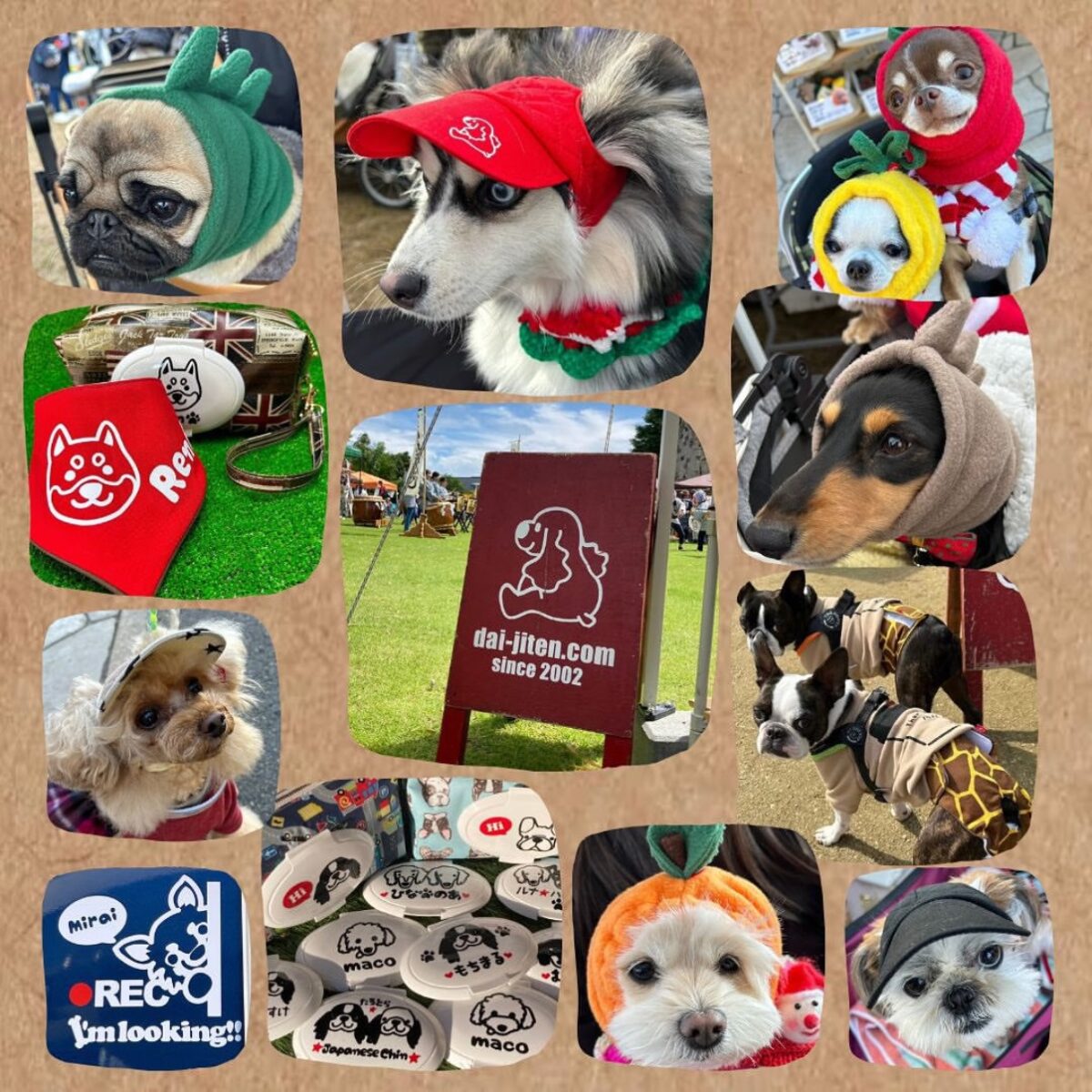 出展ブース（TOKYO DOG SHOW） 大辞典.com - 東京アウトドアショー2025（TOKYO OUTDOOR SHOW 2025）