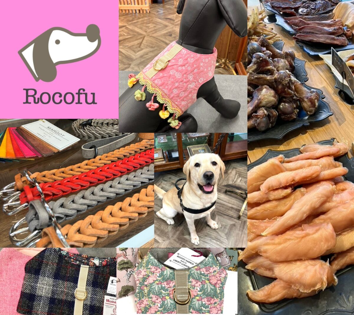 出展ブース（TOKYO DOG SHOW） Rocofu - 東京アウトドアショー2025（TOKYO OUTDOOR SHOW 2025）